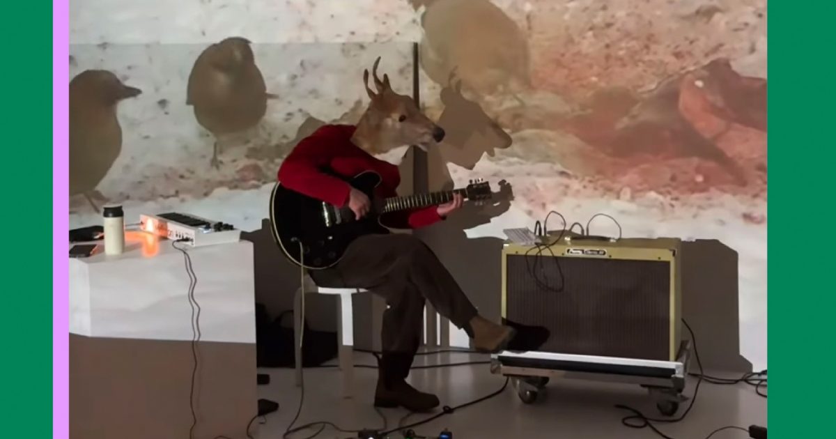 Live Performance Deer Revenge | (2)Pages | Fukuoka Art Book Fair